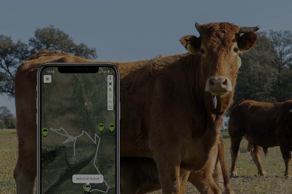 Livestock Tracking in Zimbabwe - eTrack Zimbabwe